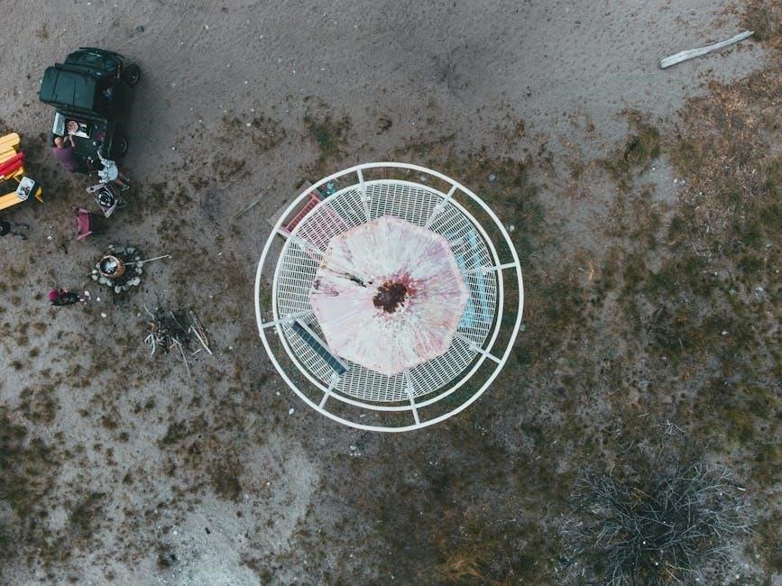 Skytech Fireplace Remote Instructions | Easy Setup Guide